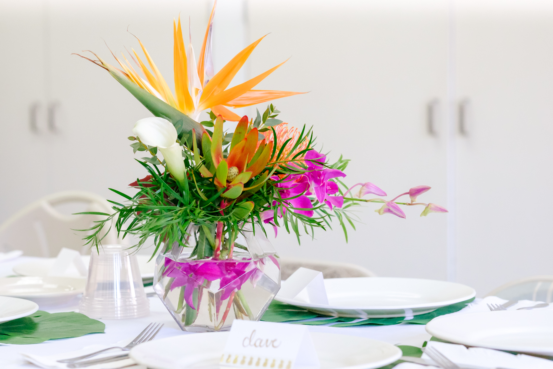 My 30th Birthday Winter Luau Cooking Party - Golden Door Photography